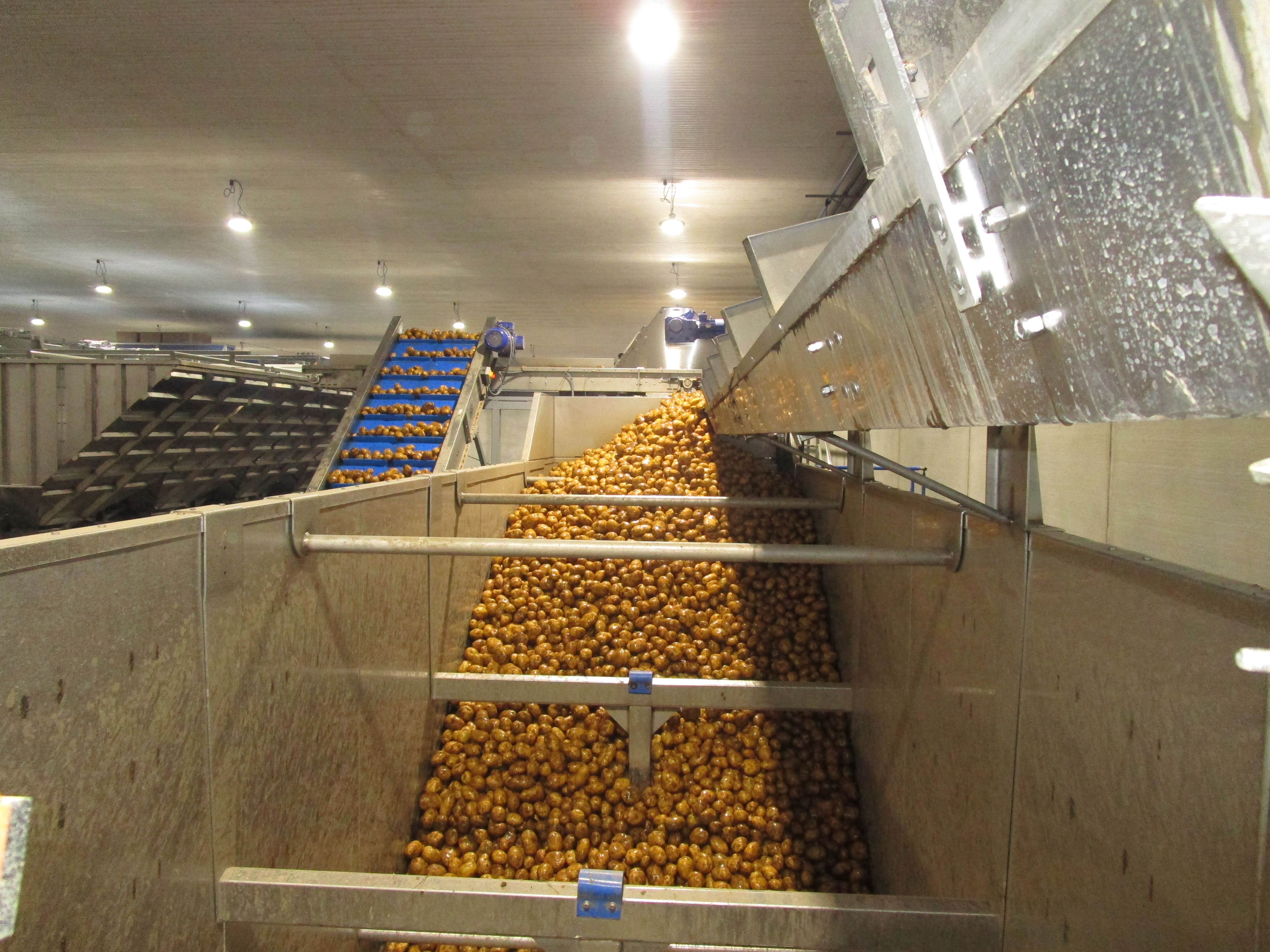 Crop Bulk Bin Storage | HJV Engineering | Washed and Dirty Crop Storage