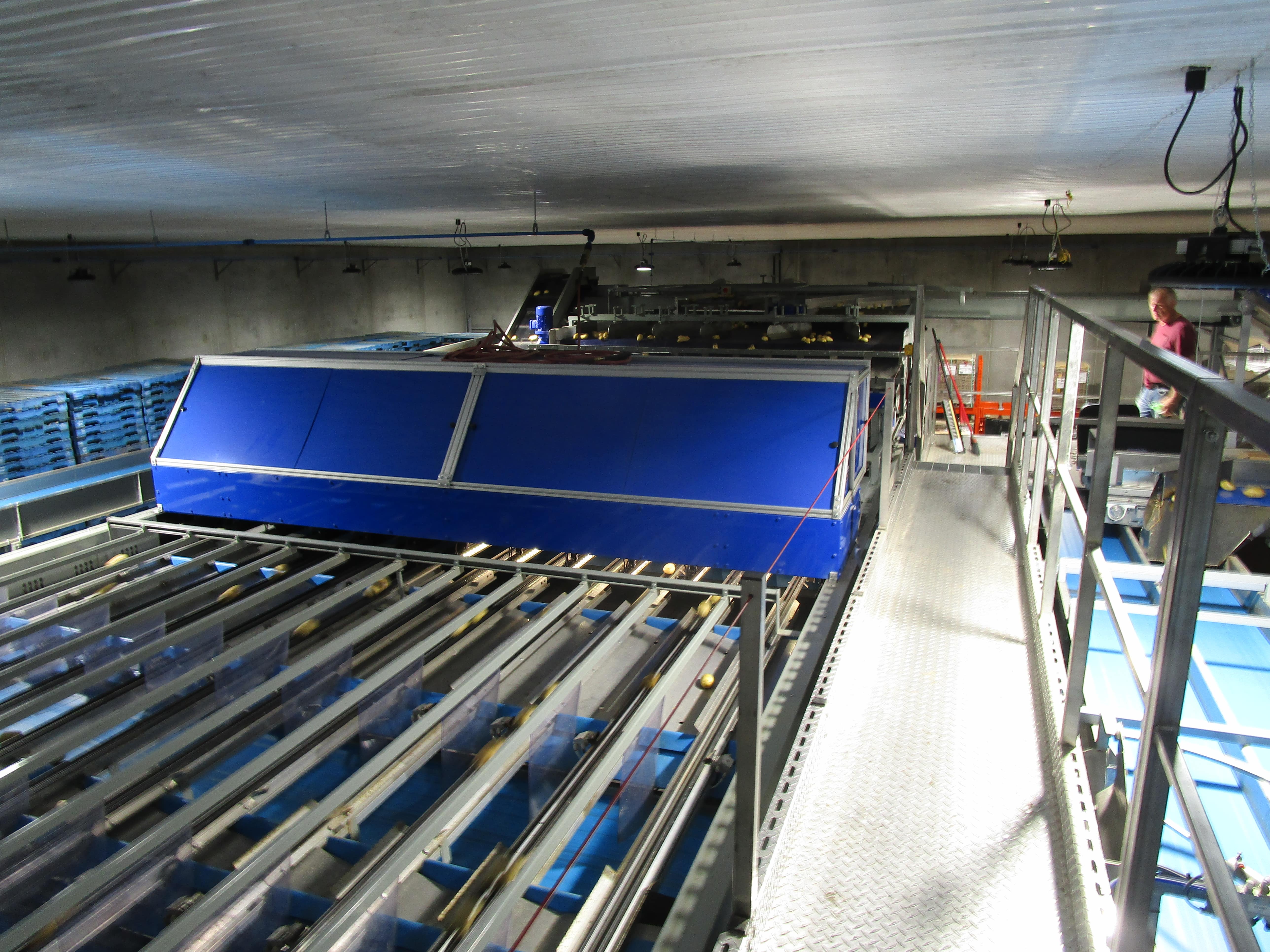 Optical Sorting | Electronic Sizing Sidewinder | HJV Engineering