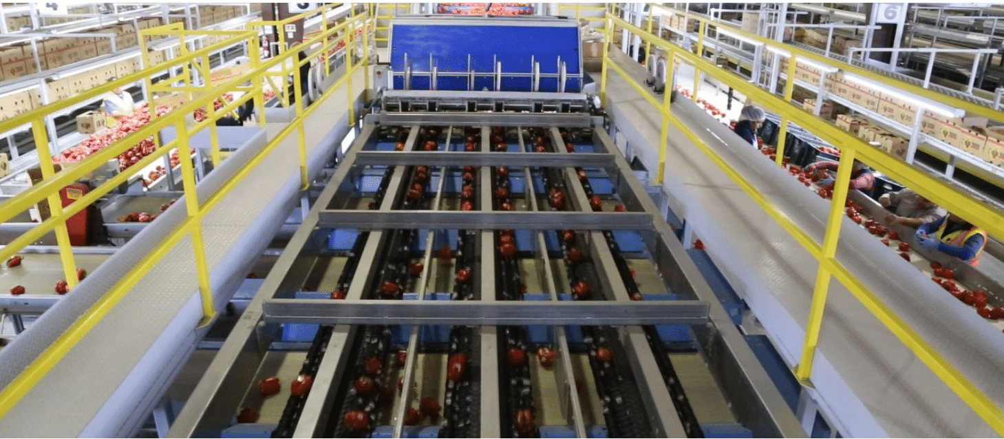 Optical Sorting | Electronic Sizing Sidewinder | HJV Engineering