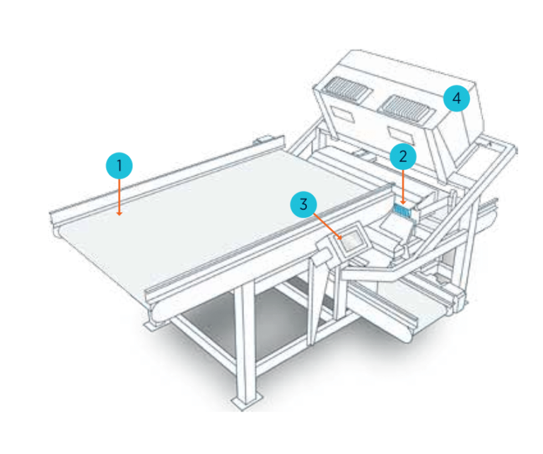 Field Potato Sorter | Crop Washing | Crop Sorting | HJV Engineering