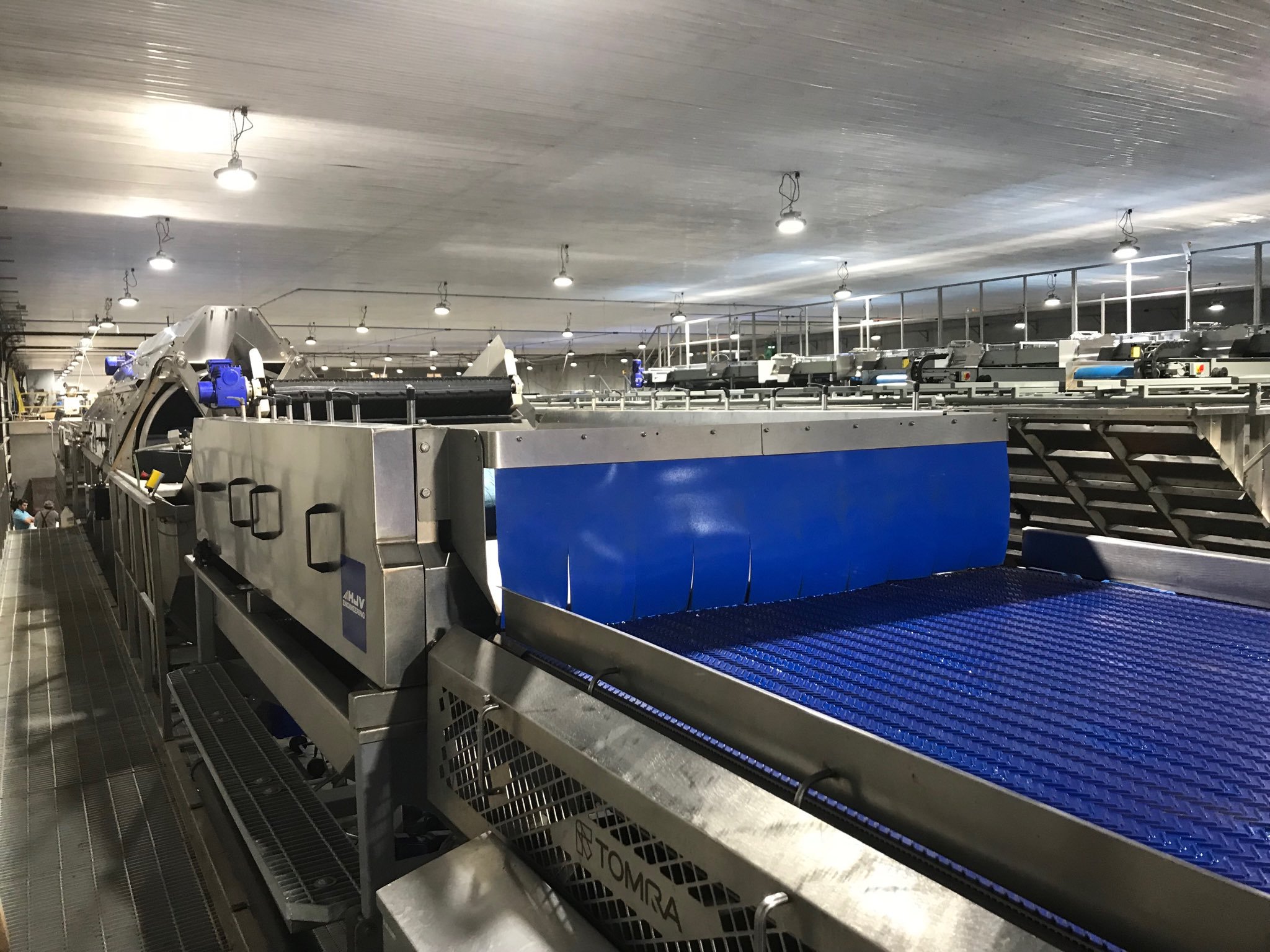 Field Potato Sorter | Crop Washing | Crop Sorting | HJV Engineering