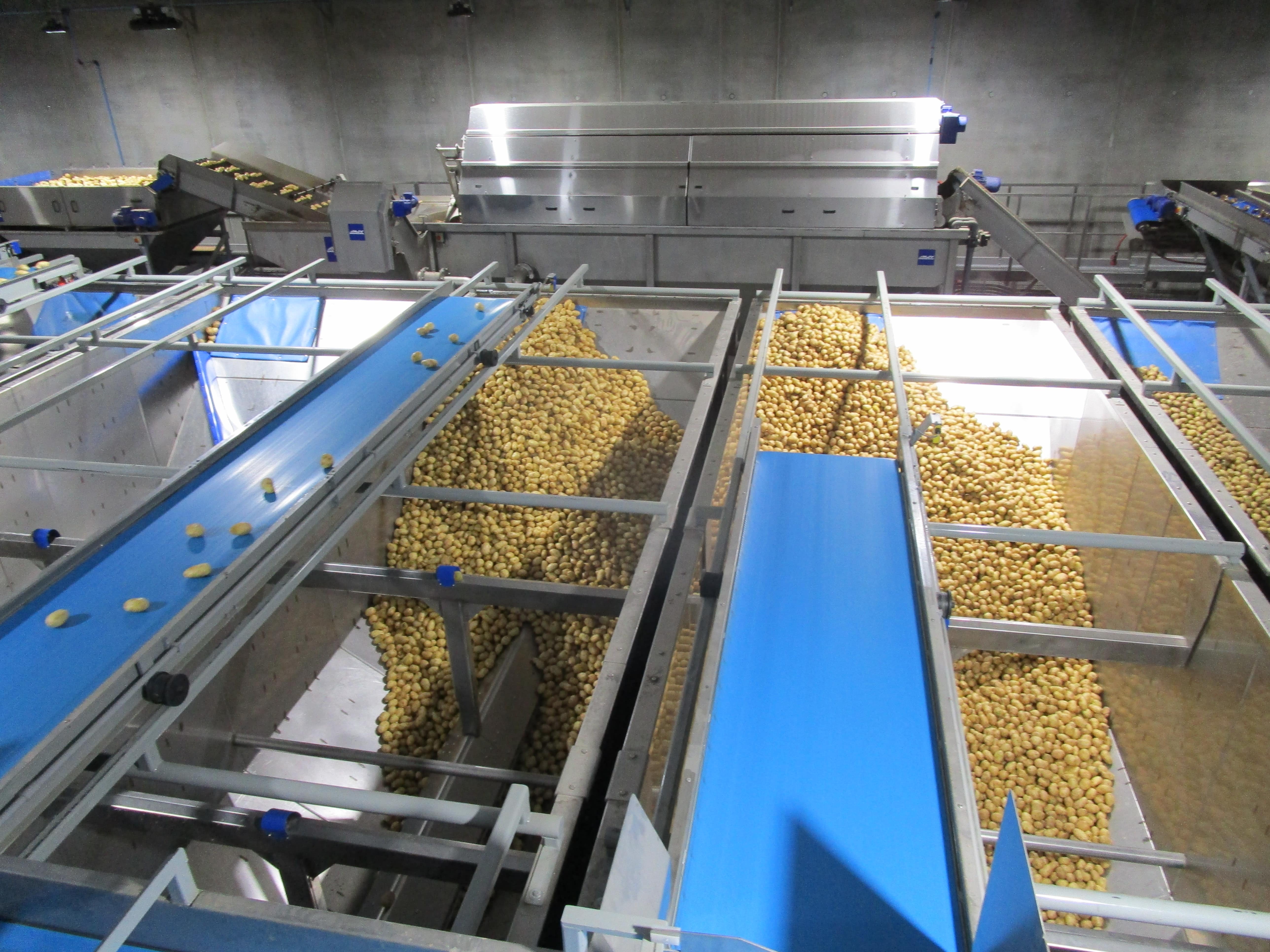 Crop Bulk Bin Storage | HJV Engineering | Washed and Dirty Crop Storage