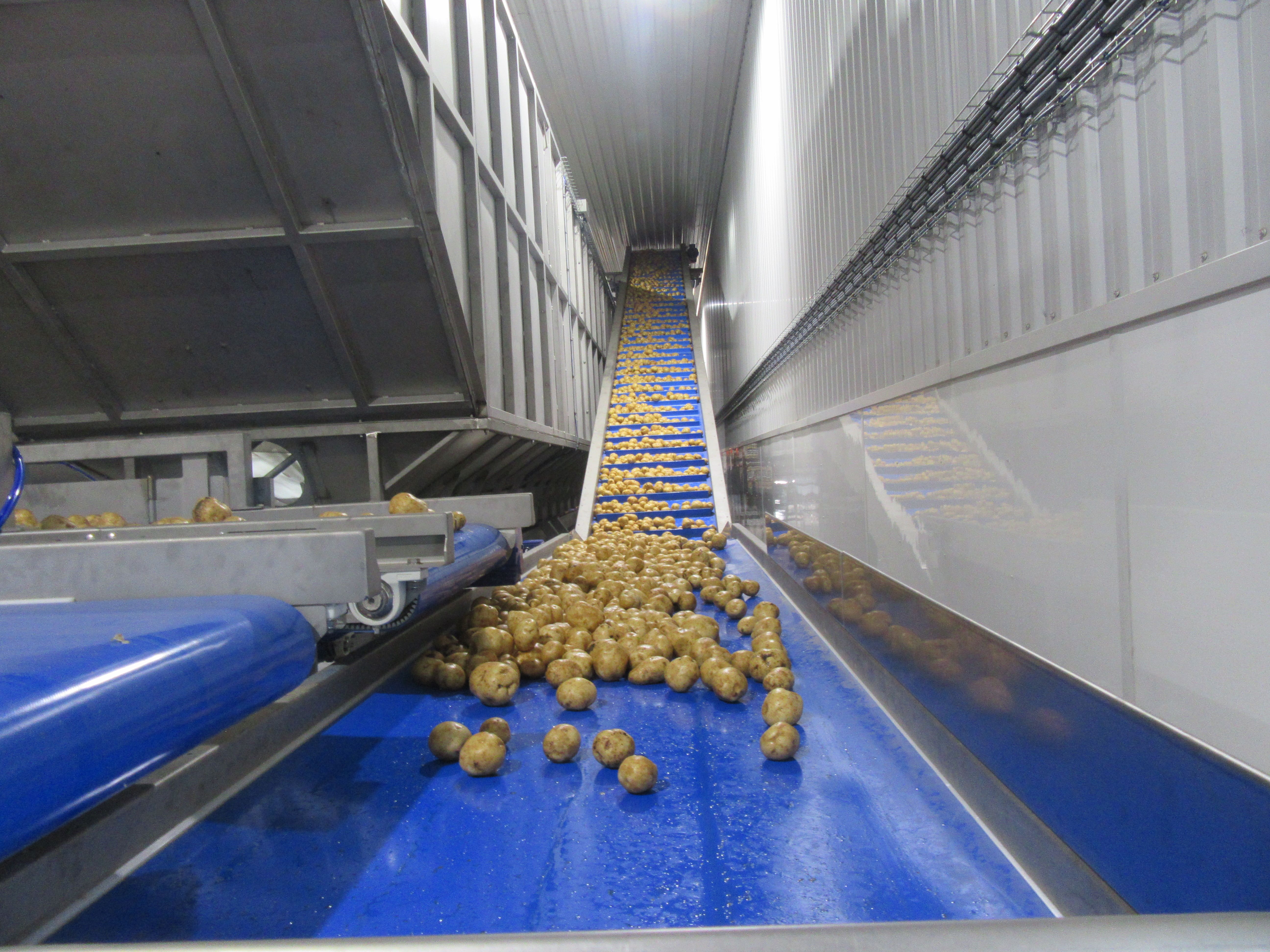 Conveyors & Elevators | Food Grade PVC Belting | HJV Engineering