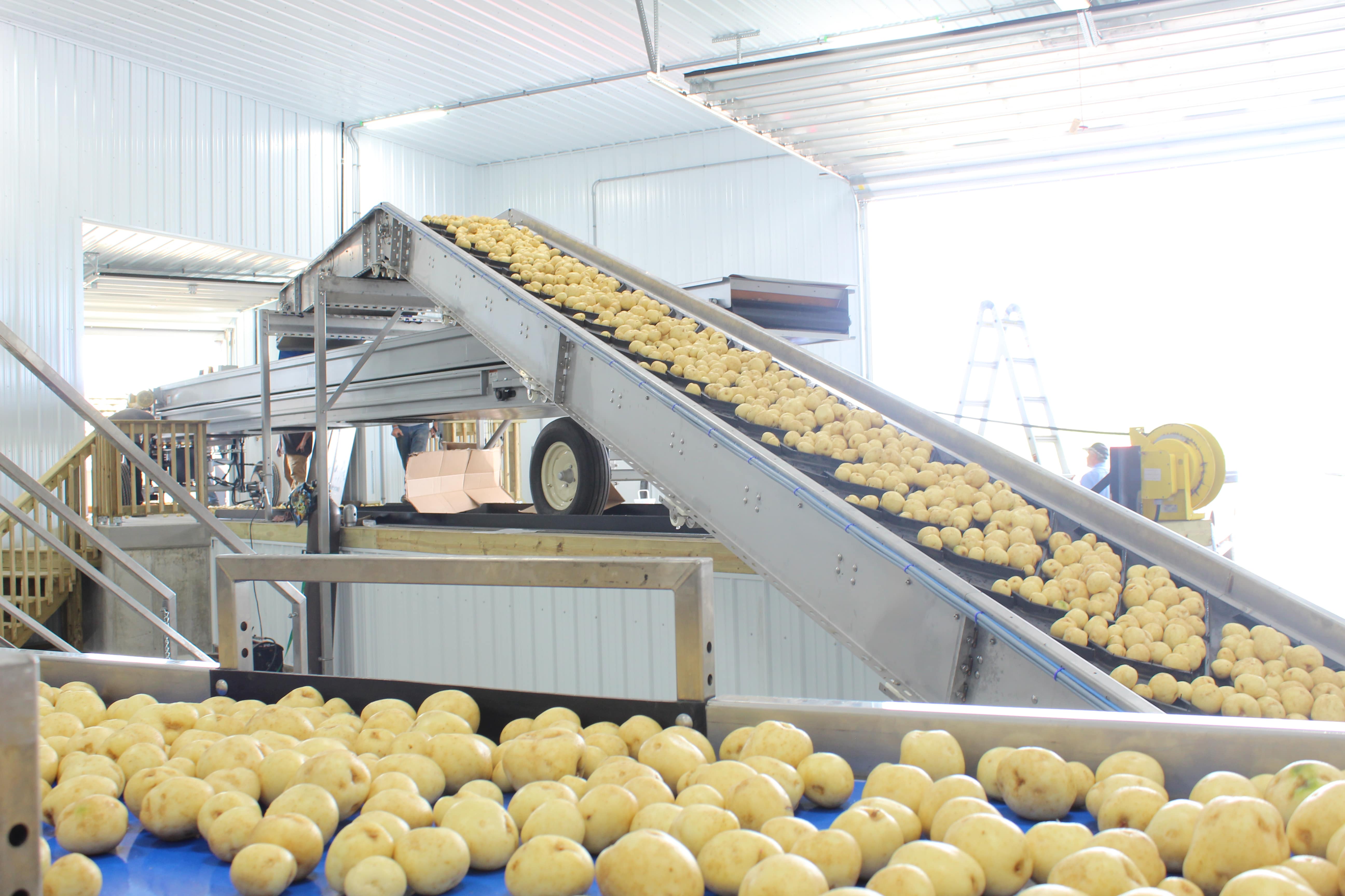 Conveyors & Elevators | Food Grade PVC Belting | HJV Engineering