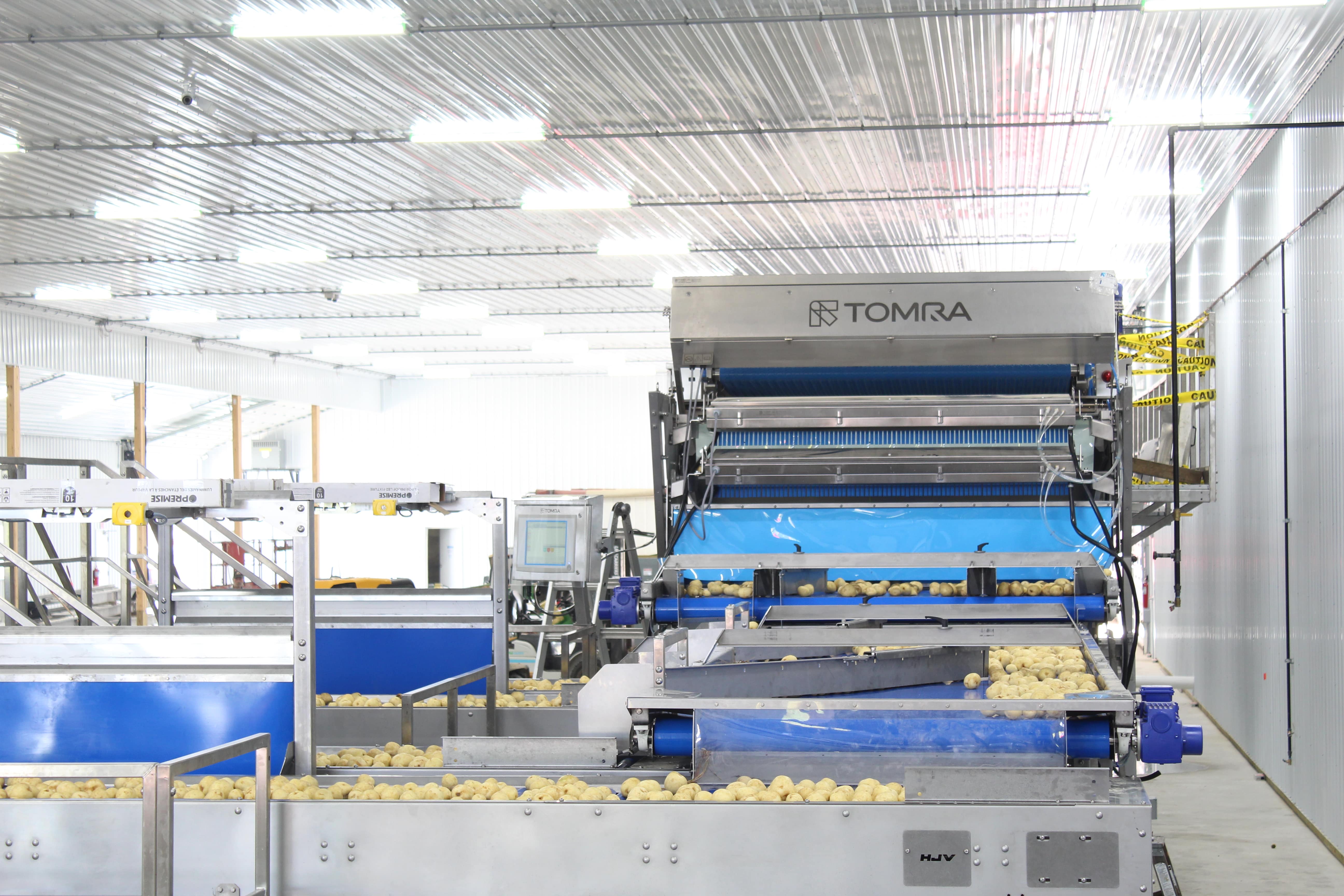 Halo 2000 | Performance Crop Sorting | Food Safety | HJV Engineering