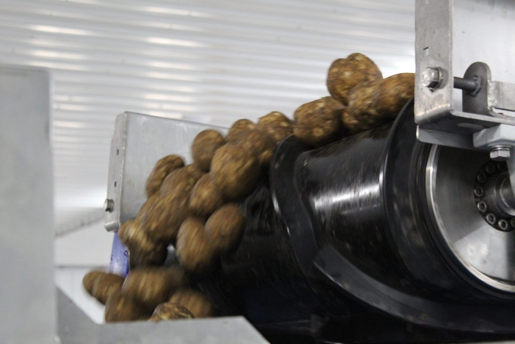 Conveyors & Elevators | Food Grade PVC Belting | HJV Engineering