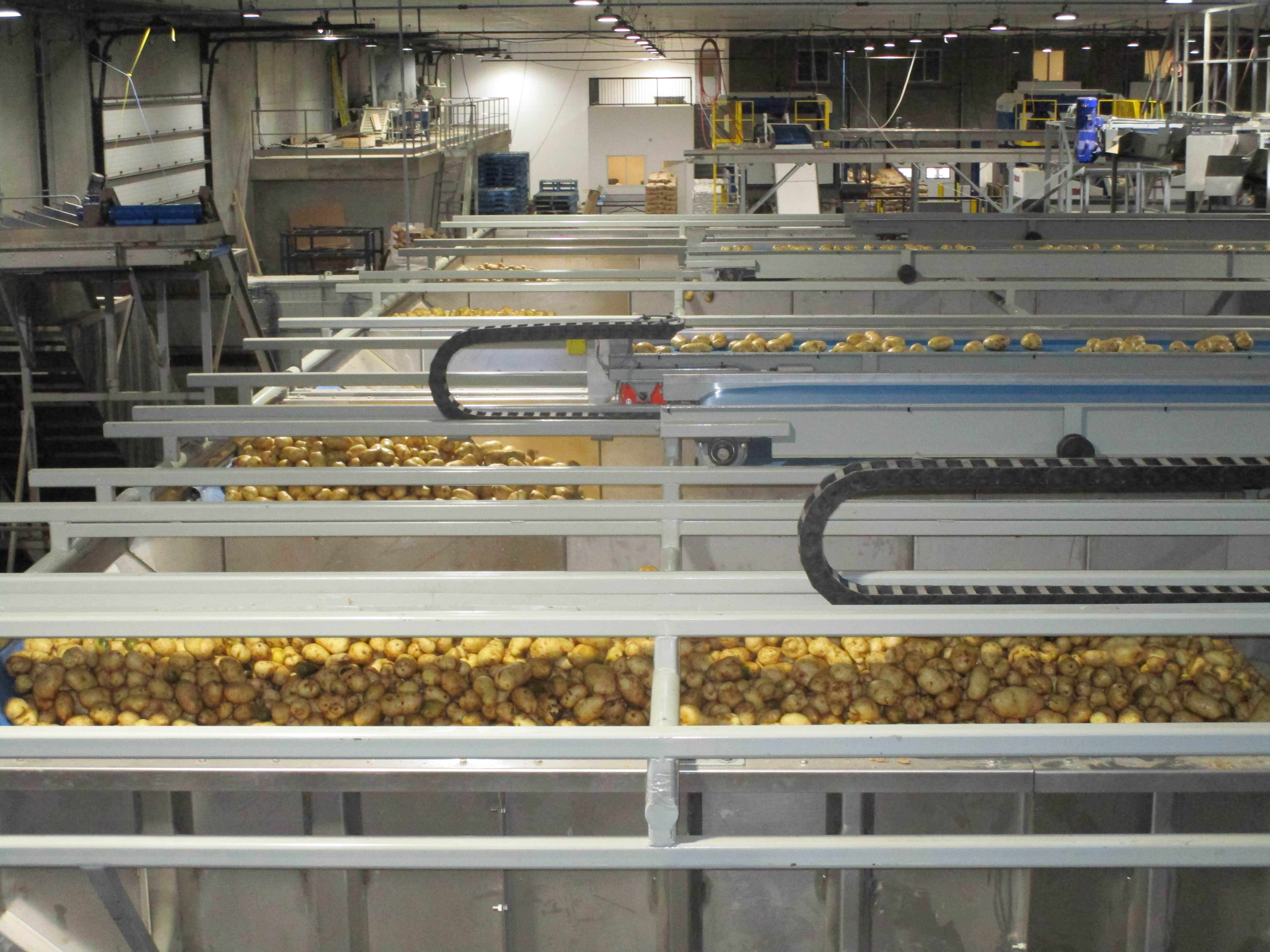 Crop Bulk Bin Storage | HJV Engineering | Washed and Dirty Crop Storage