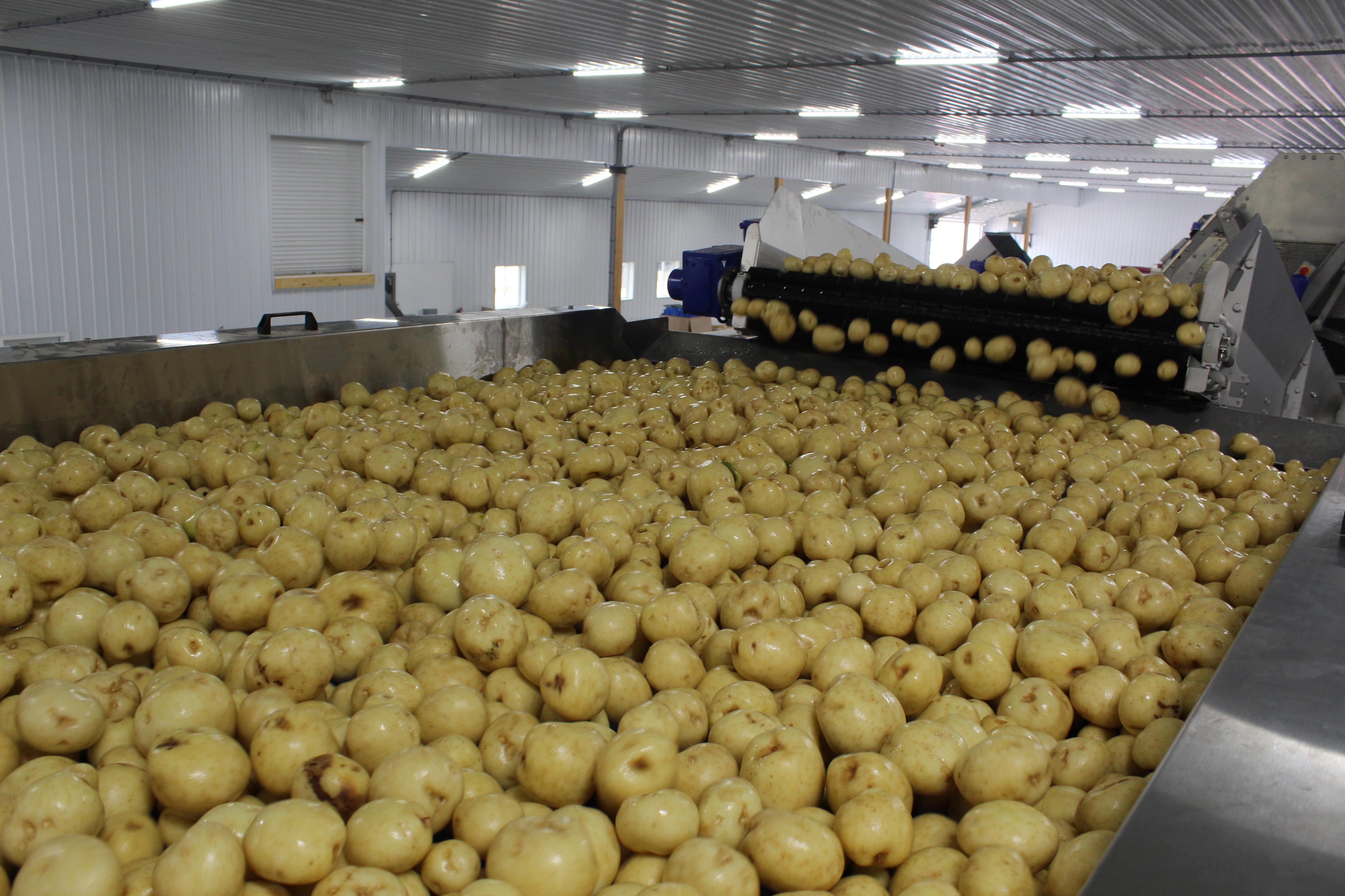 Roller Dryer | HJV | Crop Drying Solutions | Closed Cell Foam Sponge