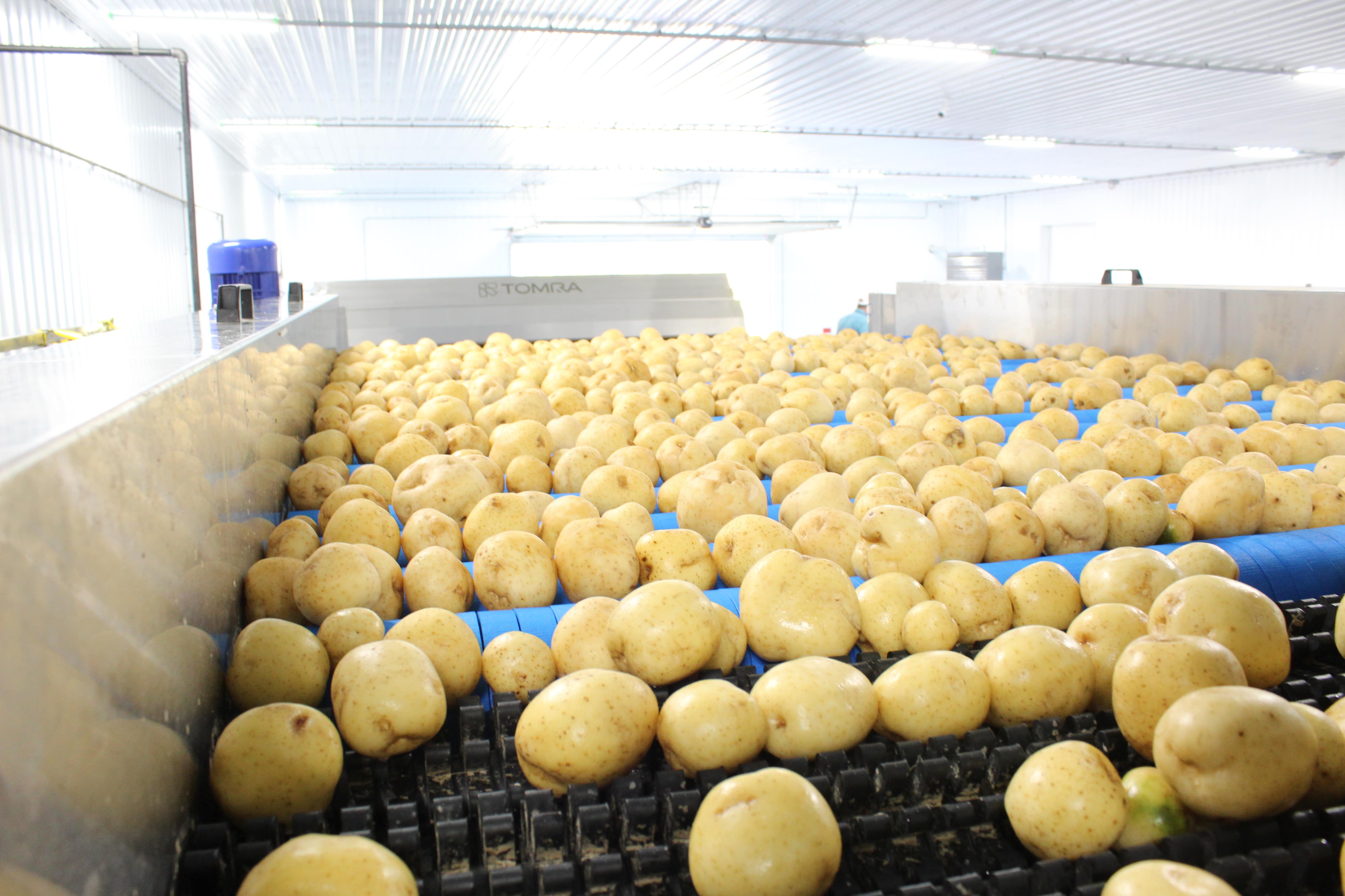 Roller Dryer | HJV | Crop Drying Solutions | Closed Cell Foam Sponge