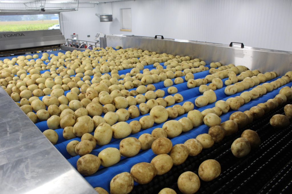 Roller Dryer | HJV | Crop Drying Solutions | Closed Cell Foam Sponge