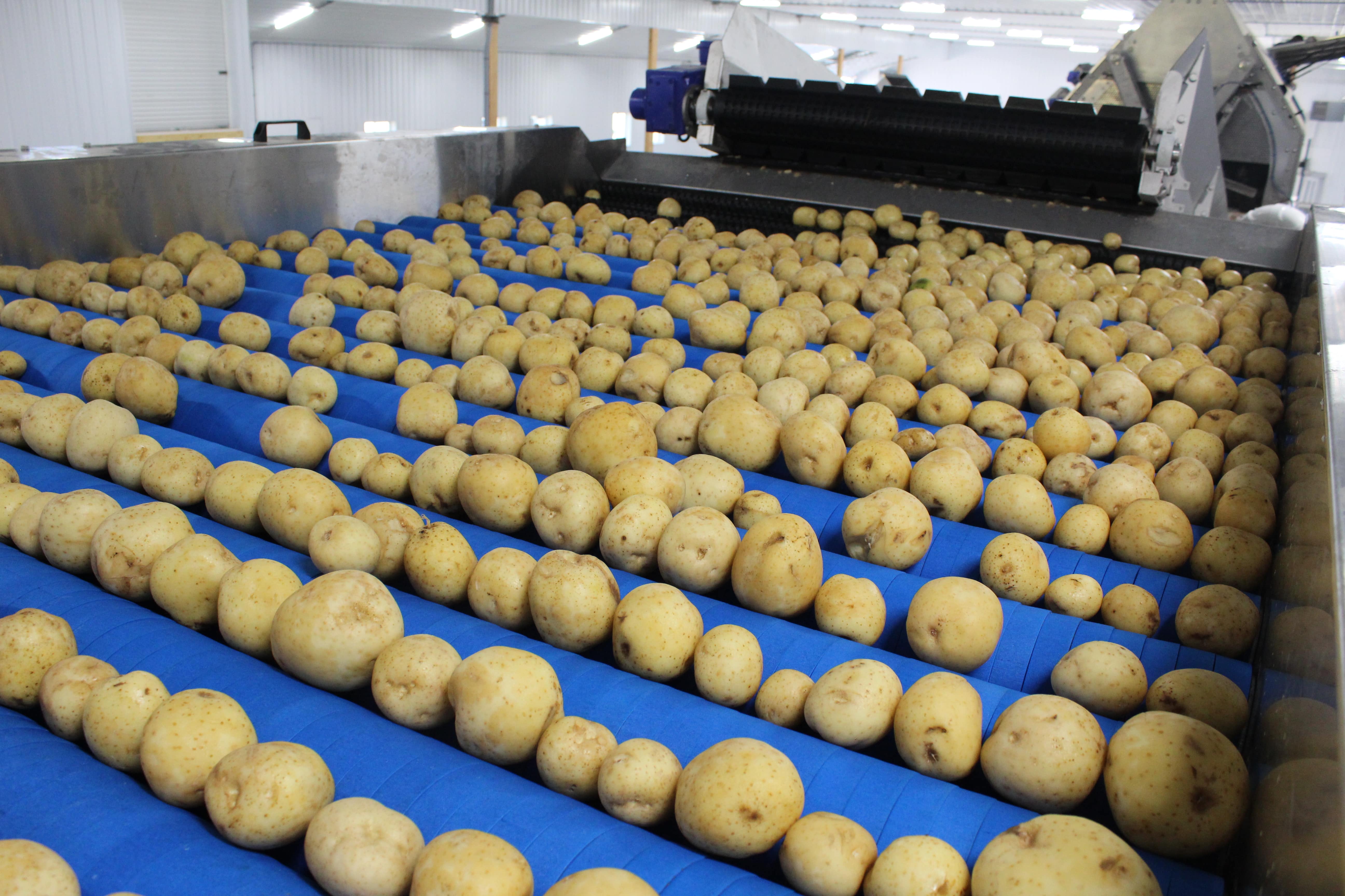 Roller Dryer | HJV | Crop Drying Solutions | Closed Cell Foam Sponge