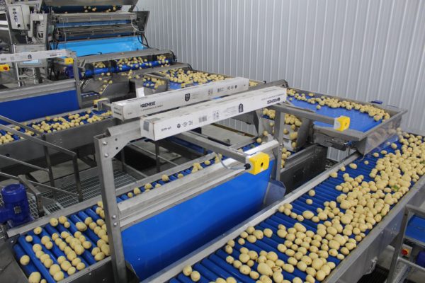Food Sorting Machine | Grader Module | Roller Inspection | Optical Sorting