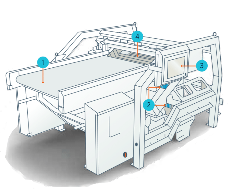 Titan II | Crop Grading | Crop Sorting | HJV Engineering