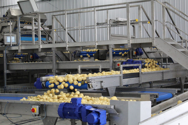 HJV Engineering | Home | Food Processing Solutions | Washing | Drying